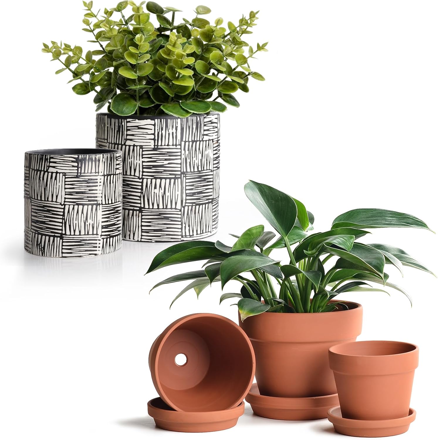 Amazon.com: INGOFIN Terracotta Pots Set with Saucer - 5/6/7 inch ...