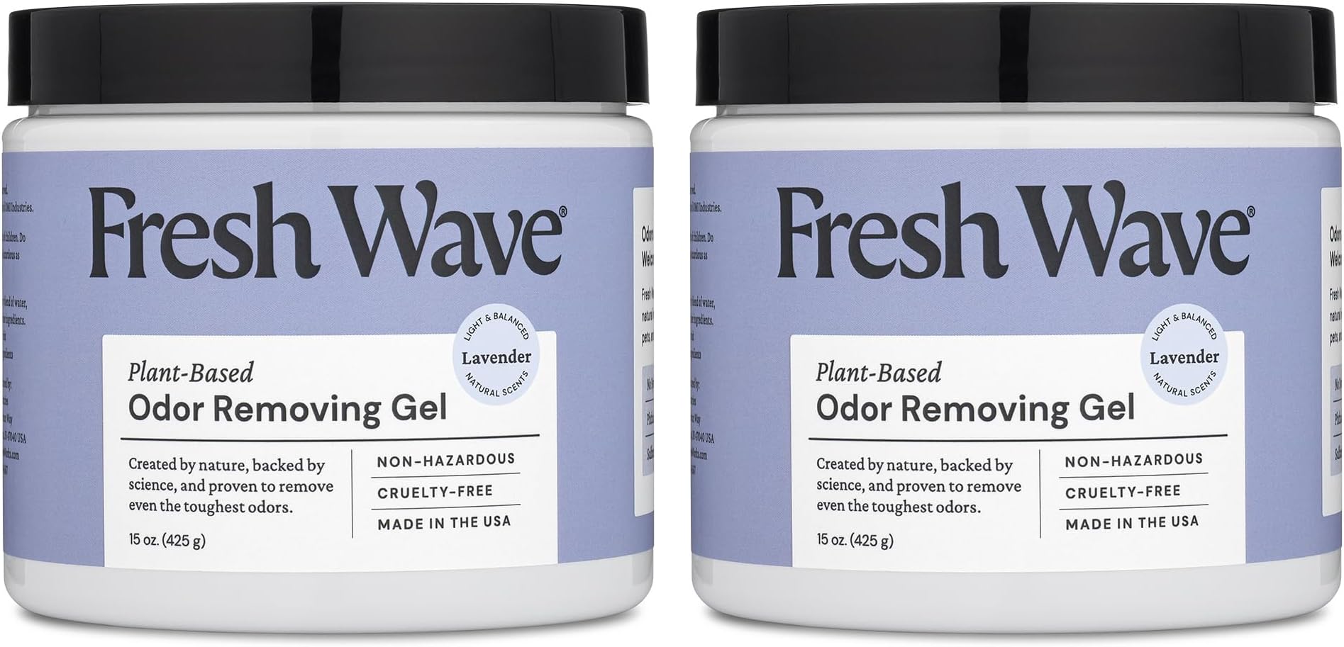 Amazon.com: Bad Air Sponge 14OZ : Health & Household