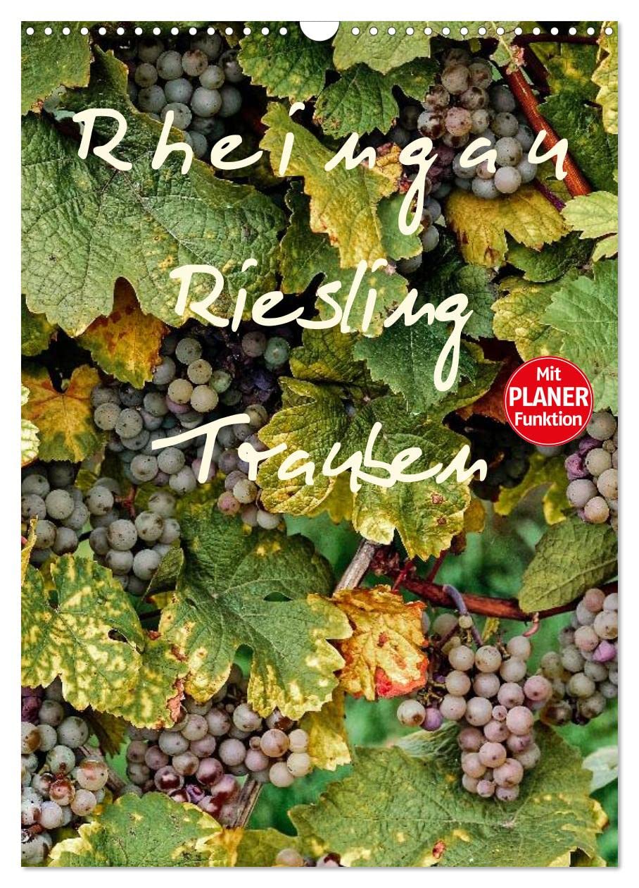 Riesling Grapes