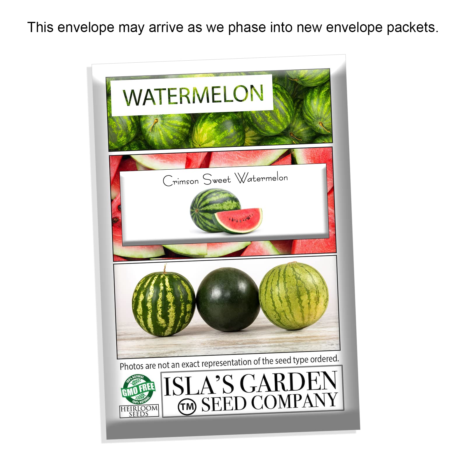 Watermelon Plant Stages Watermelon Growth Stages Stock Illustrations