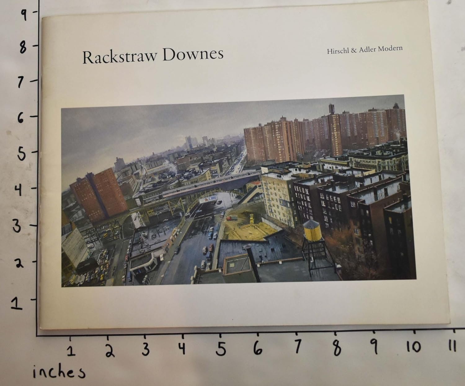 Rackstraw Downes: Yau, John: Amazon.com: Books