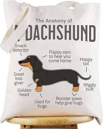 Amazon.com: WZMPA Dachshund Lover Tote Bag Dachshund Owner Gifts ...