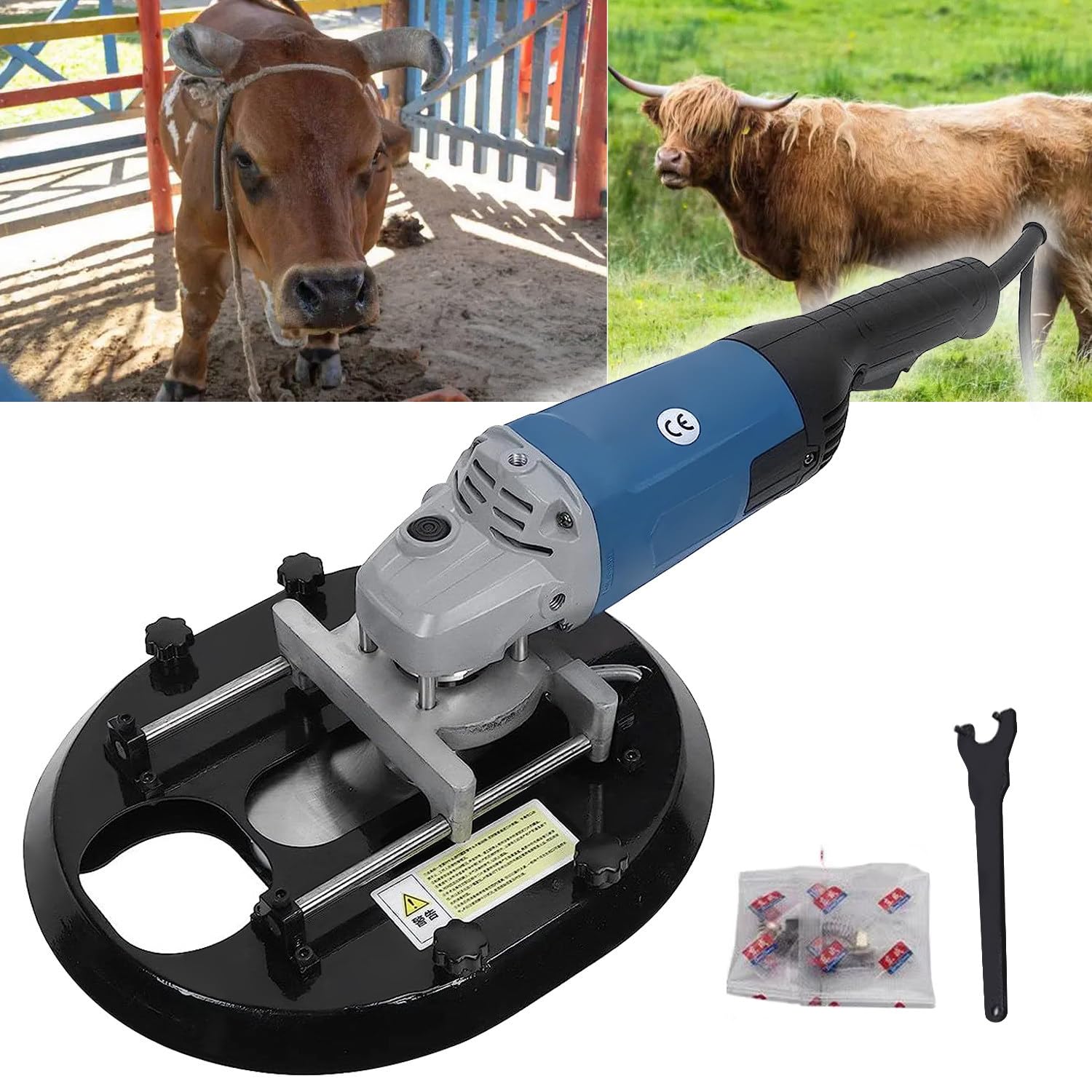 Cattle Dehorning Equipment South Africa at Ebony Butters blog