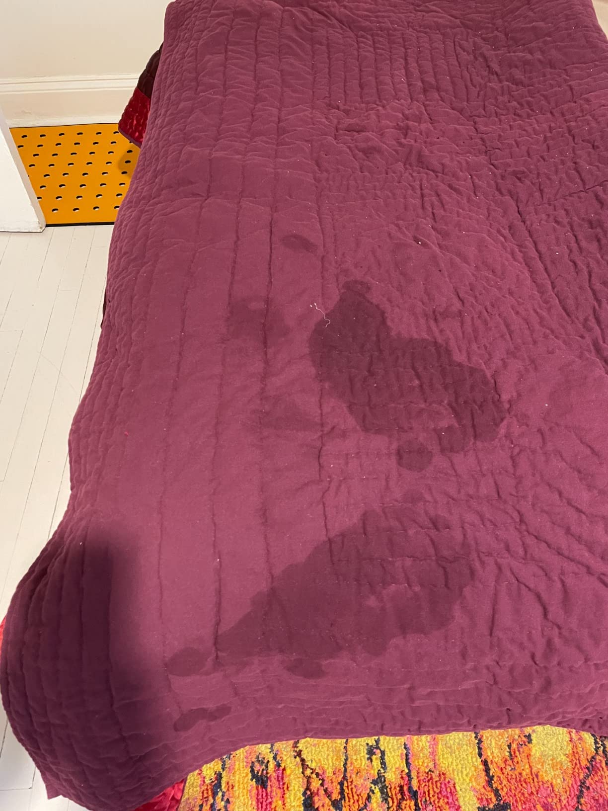 Amazon.com: Woolite Dry Cleaner's Secret at Home Dry Cleaning, 6-Count ...