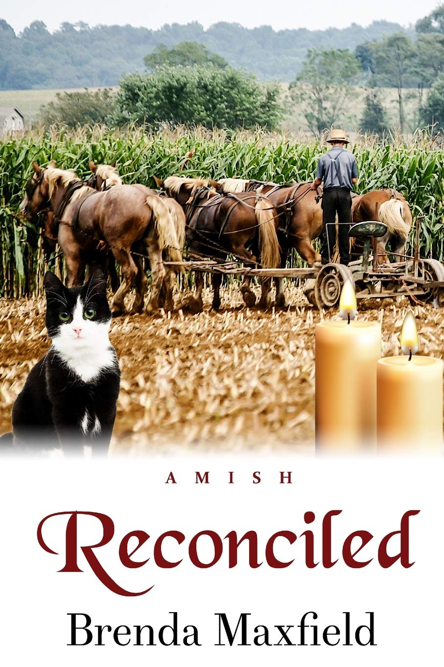 Reconciled (Hannah's Story): Maxfield, Brenda: 9781092251303: Amazon ...