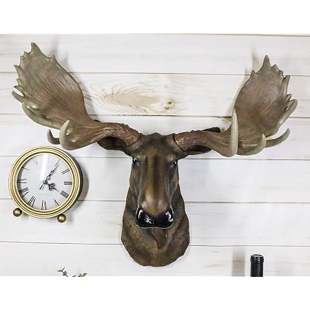 Amazon.com: Ebros Gift North American Bull Moose Wall Decor 24" Wide ...