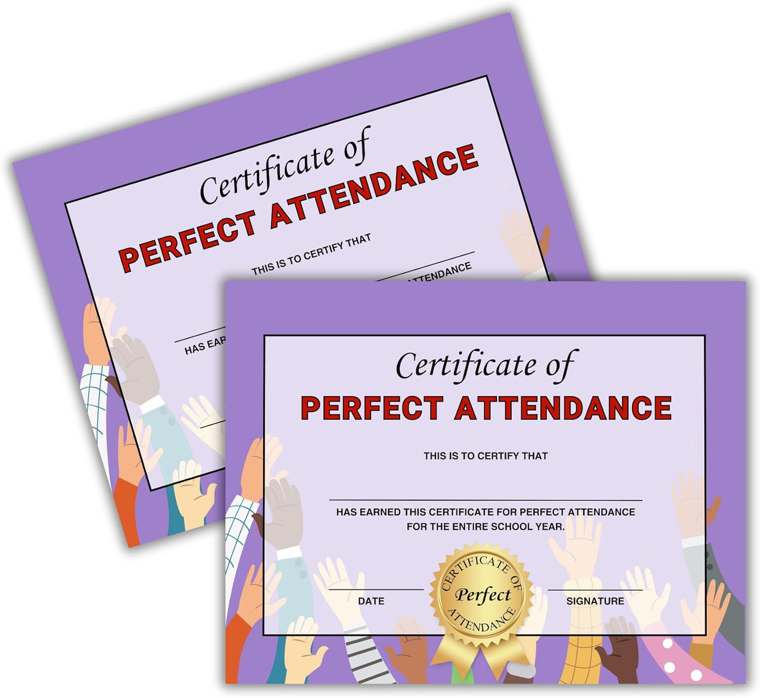 Amazon.com : Perfect Attendance Certificate Award | 50 pk 8.5x11” Best ...