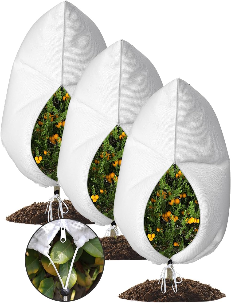 Amazon.com : LARNORJE 2 Pack Winter Protection for Palm Trees Root ...