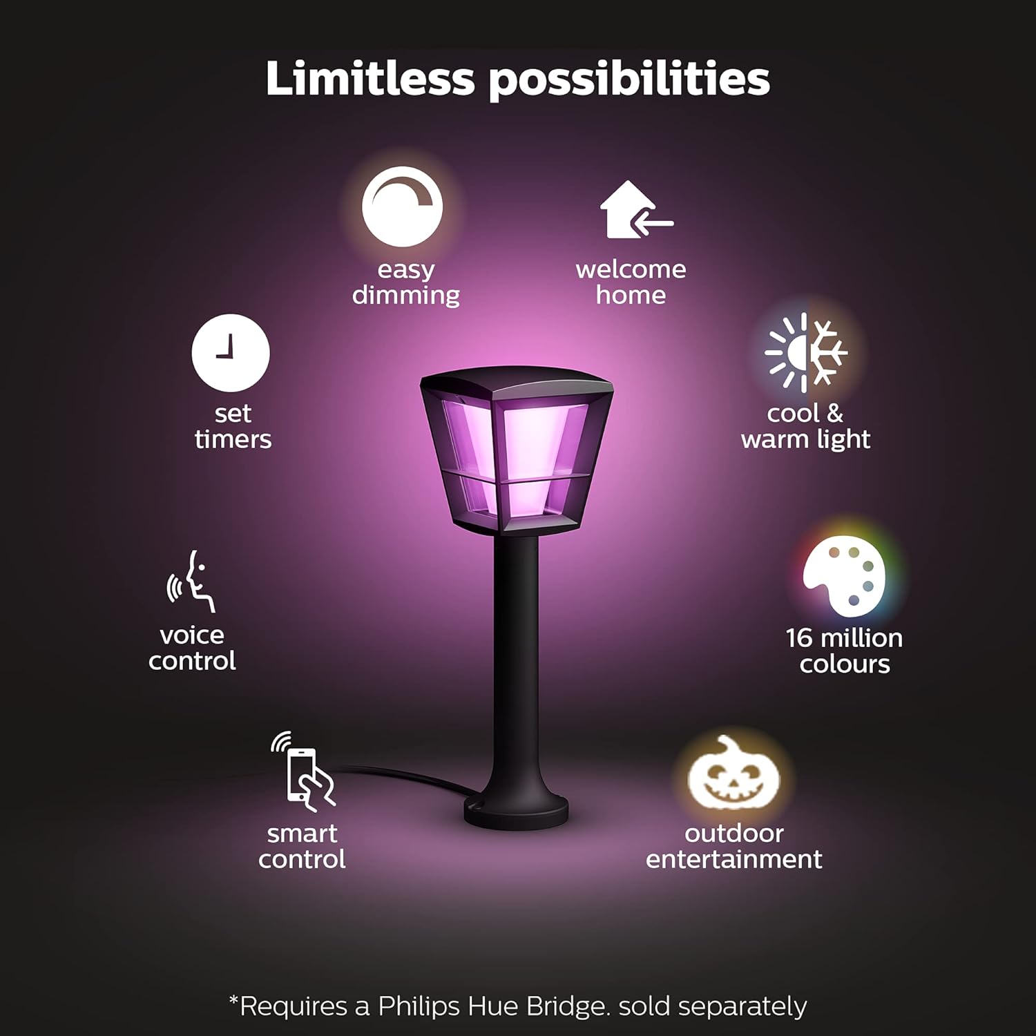 Buy Philips Hue Econic White & Color Ambiance Outdoor Smart Pathway ...