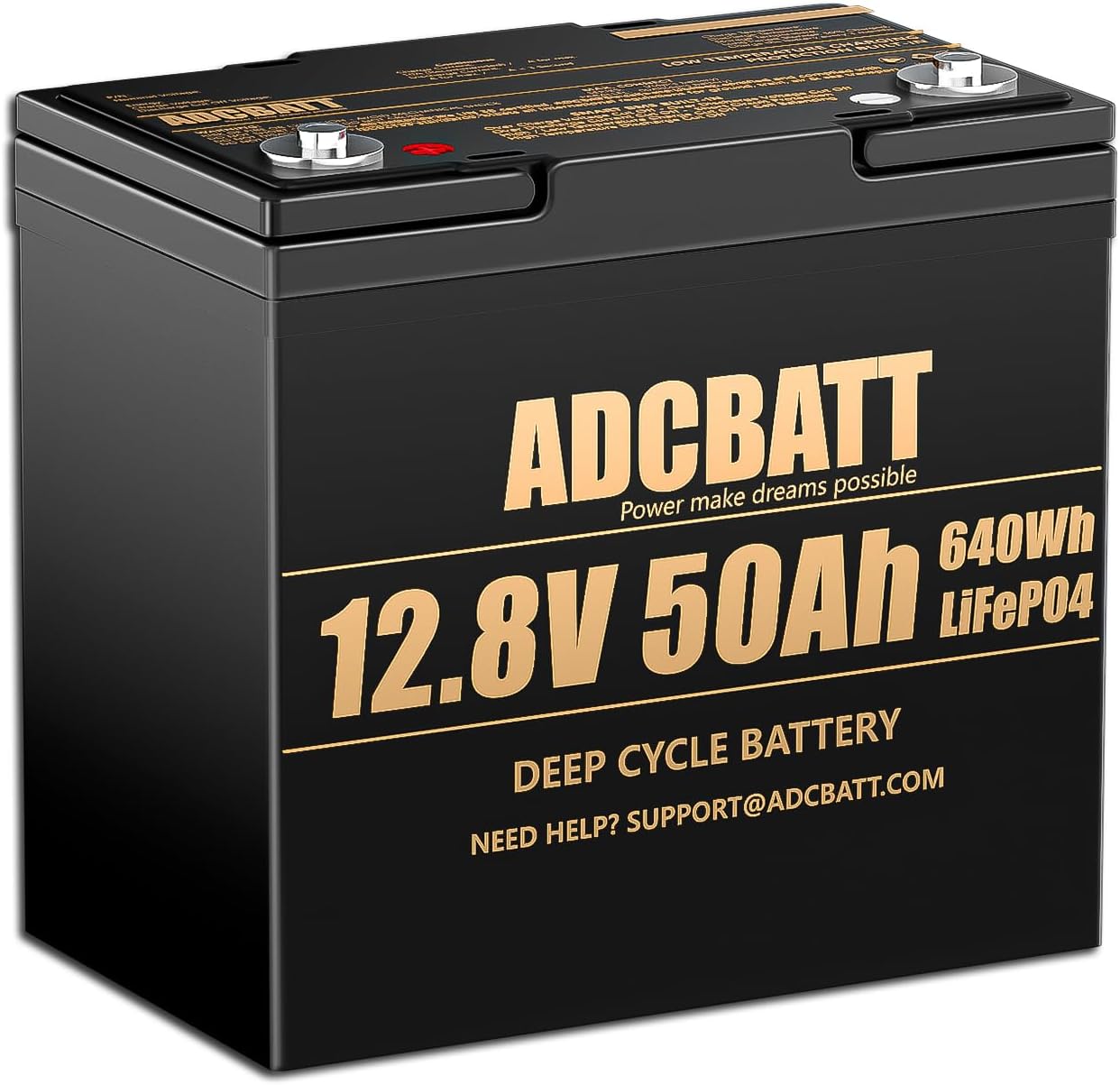 Amazon.com: Lifepo4 12v 50ah battery : Automotive