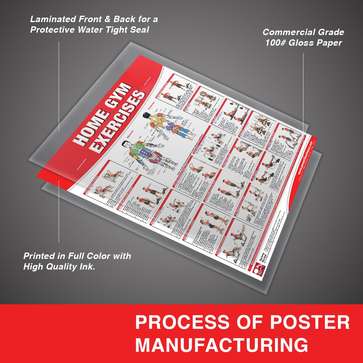 Buy Home Gym Exercises Poster Online Philippines | Ubuy