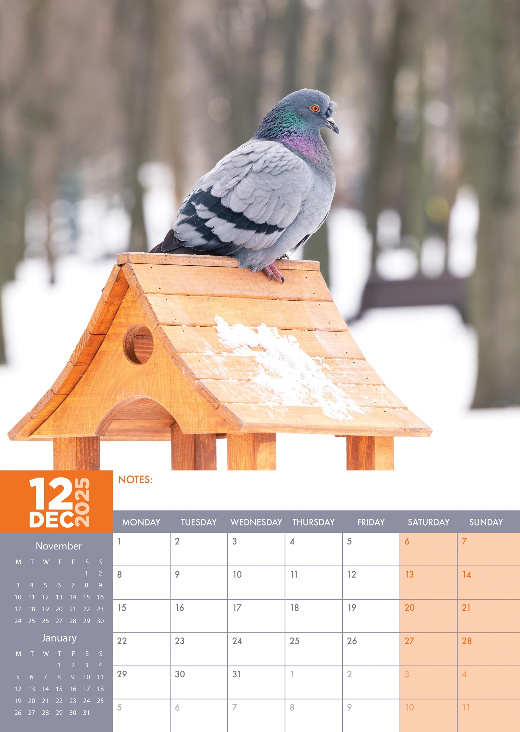 Pigeons 2025 – A3 Size Wirobound Calendar – BigaMart