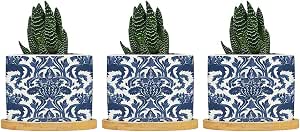 Amazon.com: BRUYU5SE Blue Regalia Lion Ceramic Planter Chinoiserie ...
