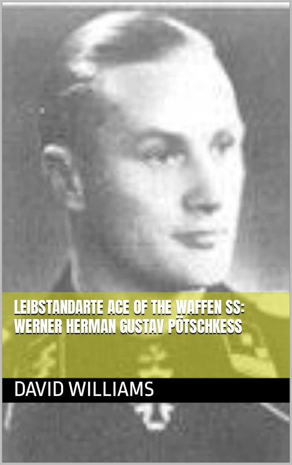 Leibstandarte Ace of the Waffen SS: Werner Herman Gustav Pötschke SS ...