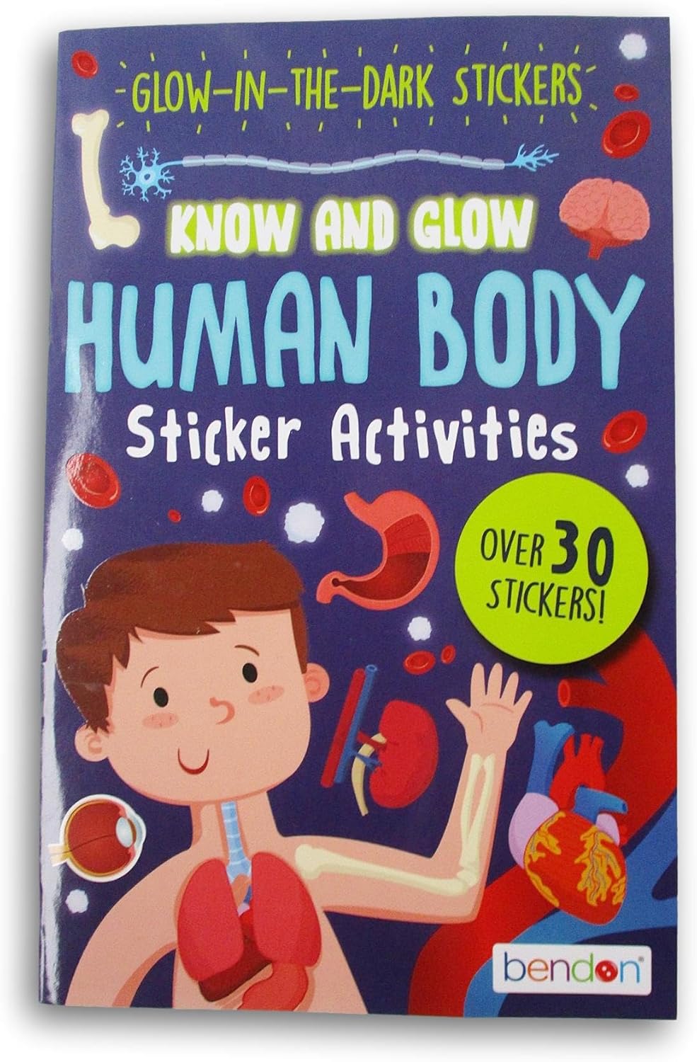 Amazon.com: Human Body Activity Book for Kids with Glow in The Dark ...