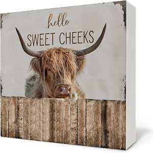 Amazon.com: Nvotell Hello Sweet Cheeks Bathroom Signs - Sweet Cheeks ...