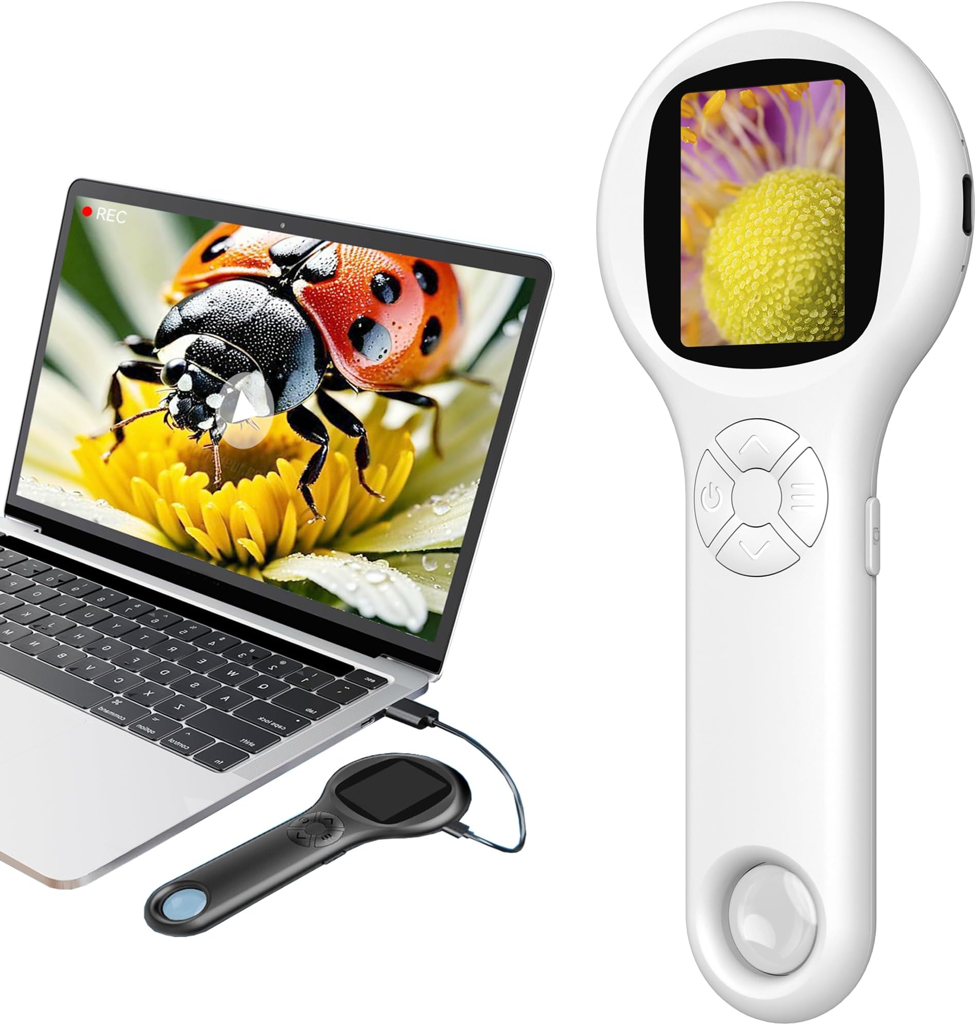 Amazon.com: Microscope for Kids, Educational Science Kit Toys Portable ...