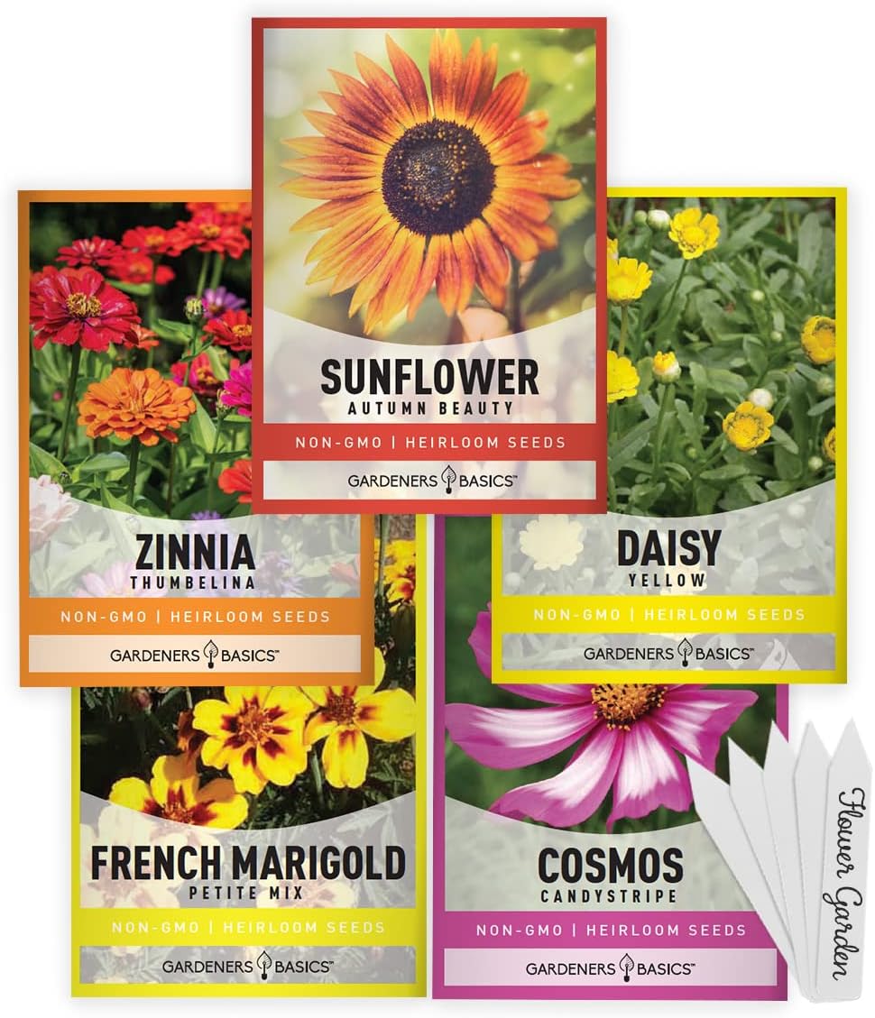 Flower Garden Seeds for Planting Outdoors Flower Seeds (5 Variety Pack ...