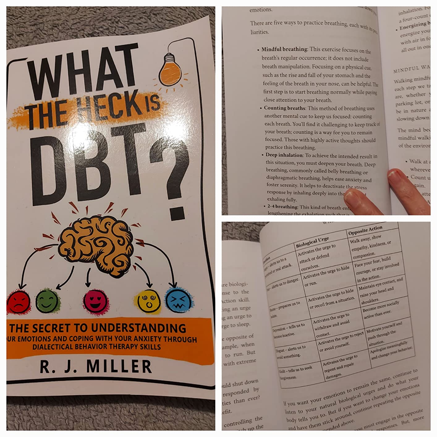 What The Heck Is DBT?: The Secret To Understanding Your Emotions And ...