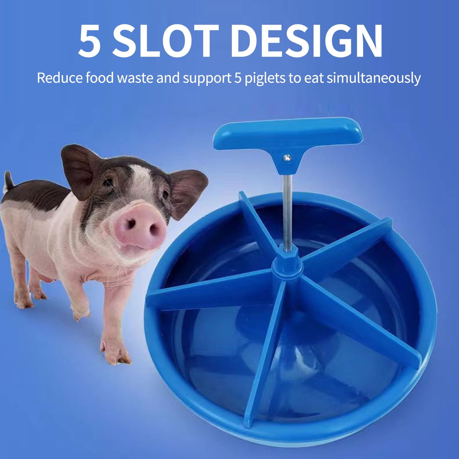 Pig Eating Food Waste New Zealanders Want School Children To Receive