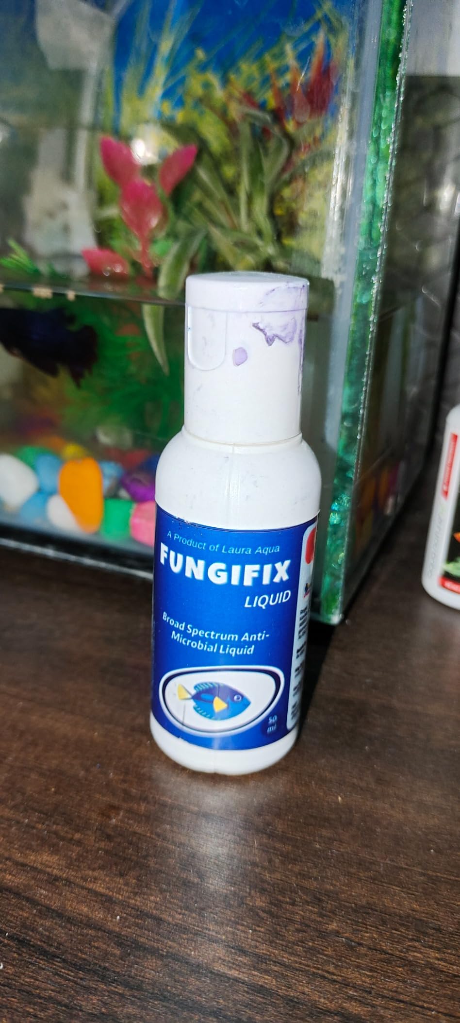 Bio Pro FUNGIFIX Anti - Ich Anti - Fungus Aquatic Remedies for Aquarium Fishes.(50 ML) Pack of 1 ...