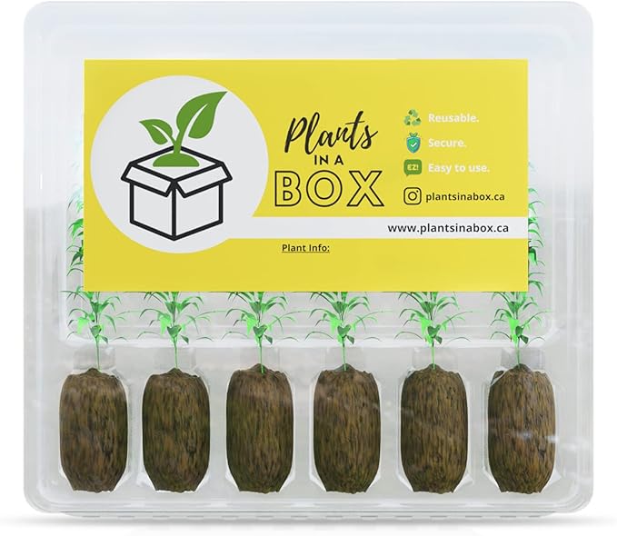 Amazon.com: Plants in A Box Plant Cloner Shipping Box for Plants ...