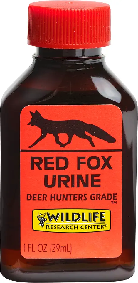 Do Foxes Spray? Unraveling The Mystery Behind Fox Scent Marking | PetShun