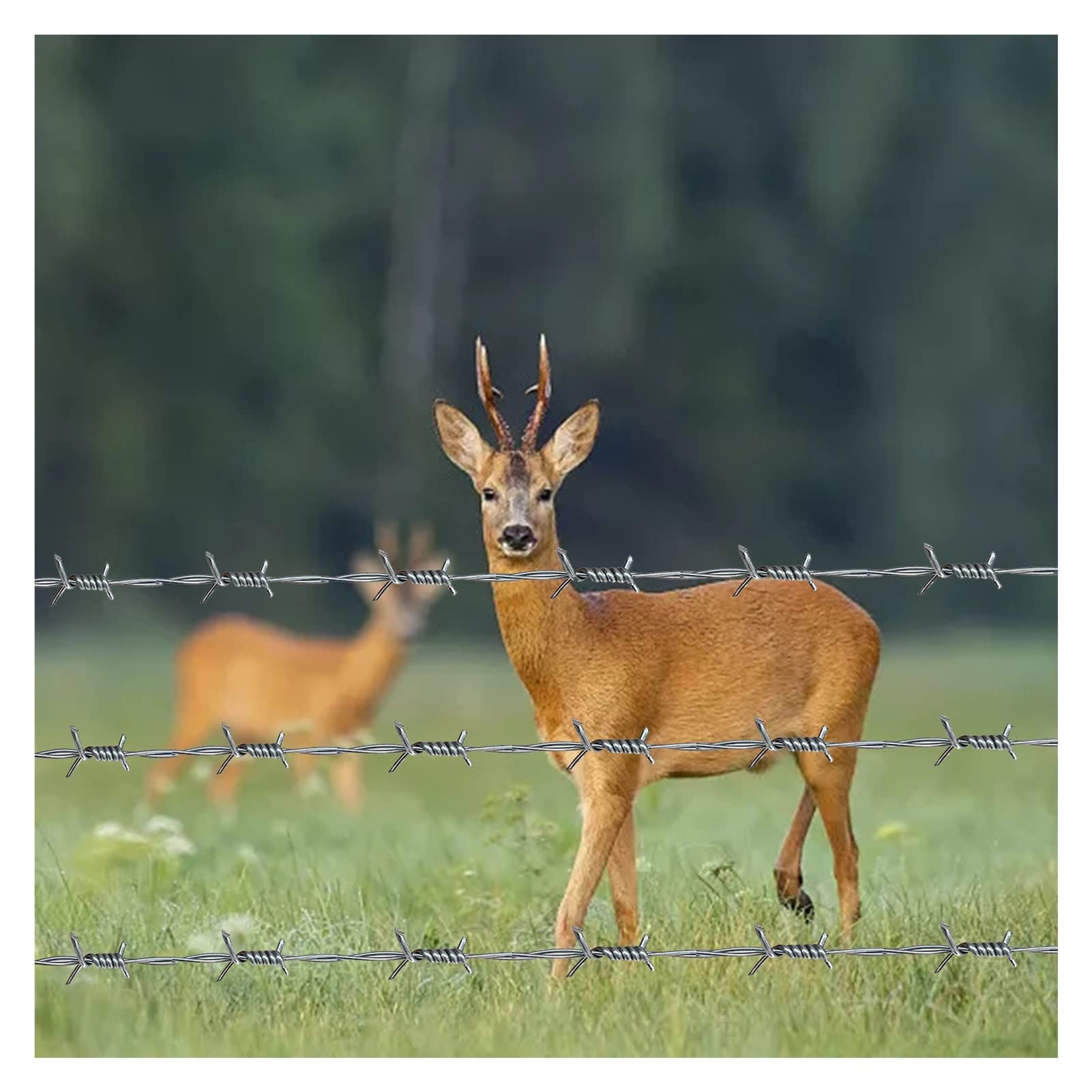 Buy LZMZMQ Galvanized Steel Safety Fence for Deer/Cattle/Sheep, Farm ...
