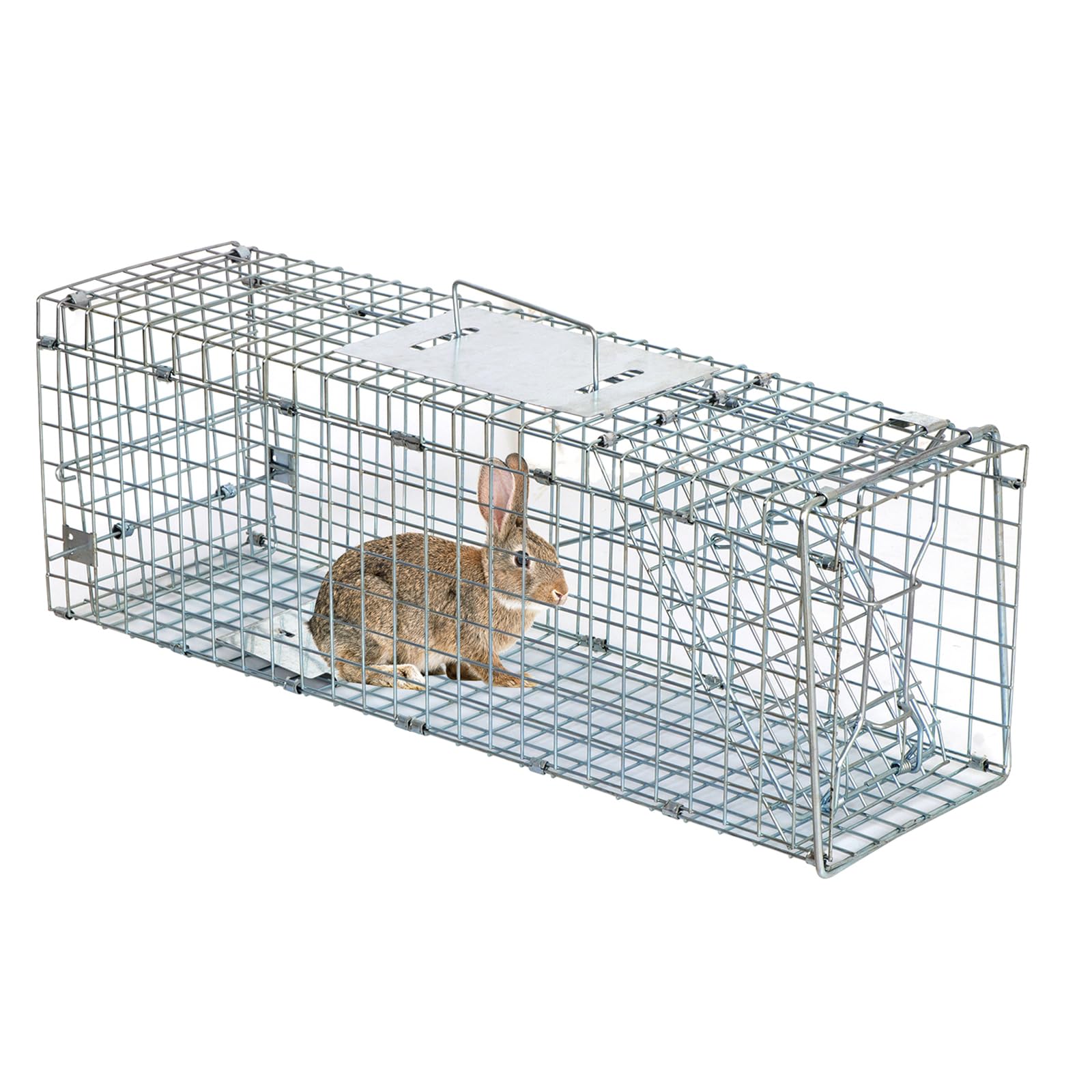 Amazon.com : Smartxchoices 24" x 7.5" x 8" Small Live Animal Trap Steel ...