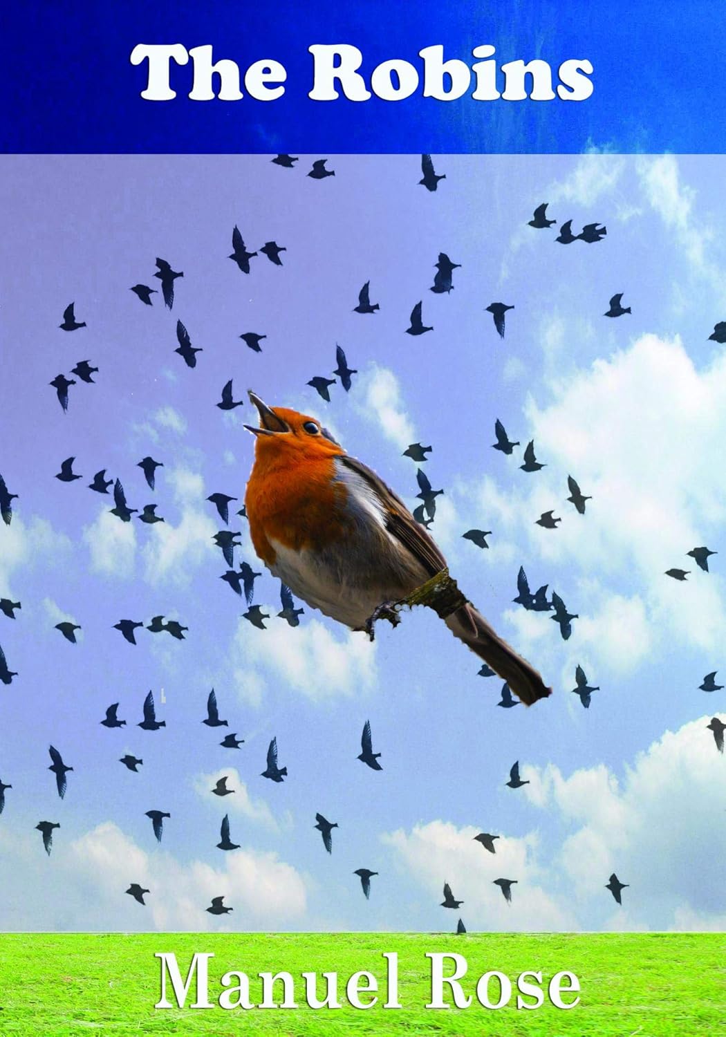 The Robins: A Kids Book - Kindle edition by Rose, Manuel. Children ...