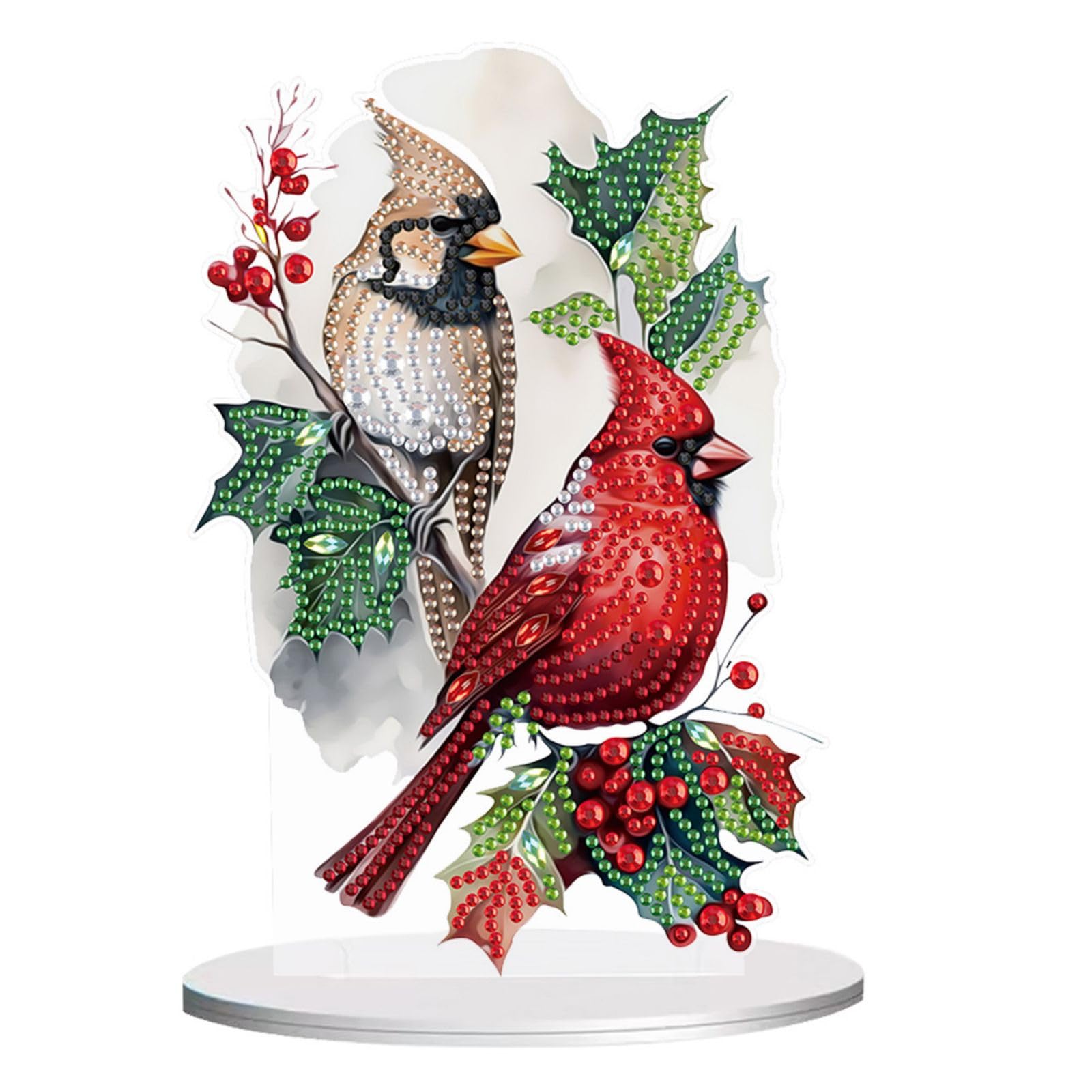 Amazon.com: Generic Cardinal DIY Point Diamond Ornaments for Adults ...