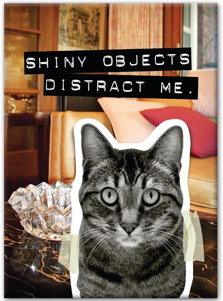 Amazon.com: Cat Shiny Objects Distract Me Magnet : Home & Kitchen