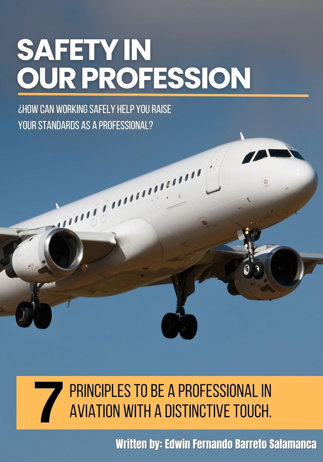 Safety in our profession: 7 Principles to be an Aviation Professional ...
