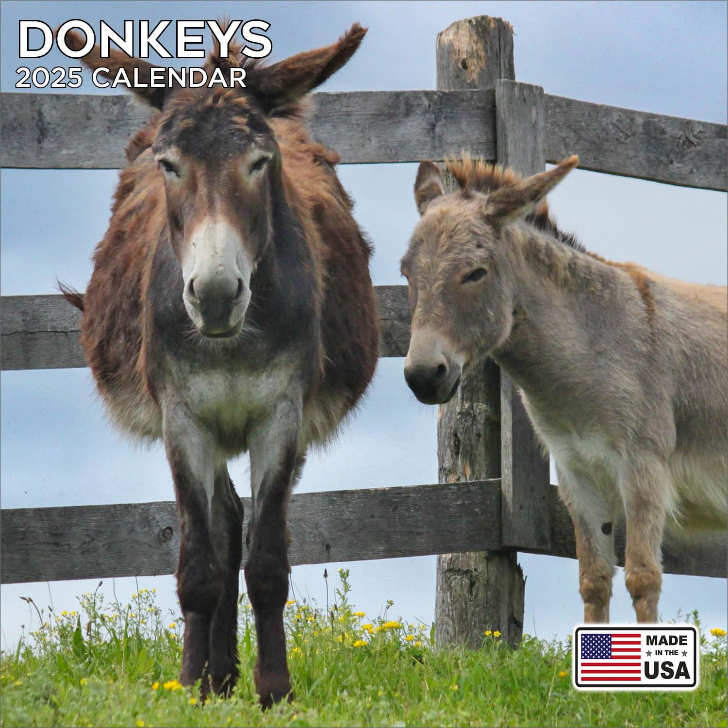 2025 Donkeys Calendar - Dog Breed Wall Calendar - 12 x 24 Open - Thick ...