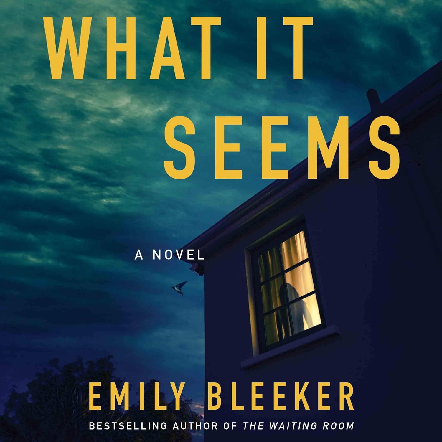 Amazon.com: What It Seems (Audible Audio Edition): Emily Bleeker, Jess ...