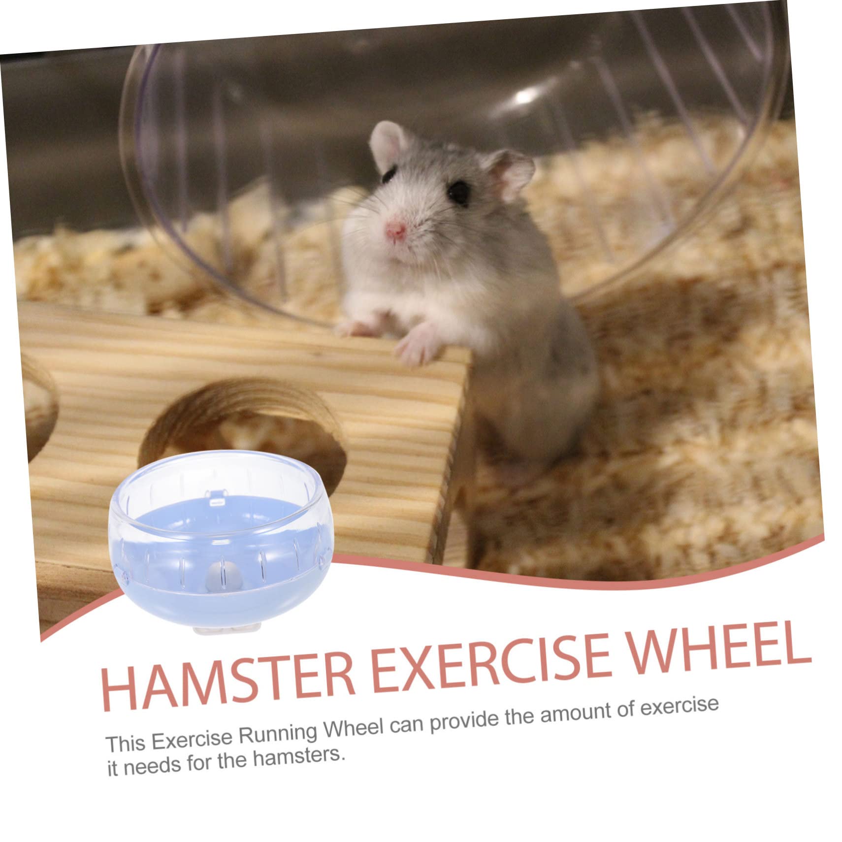 Hamster Saucer Exercise Toy Sirvarni Super-Silent Hamster Exercise ...