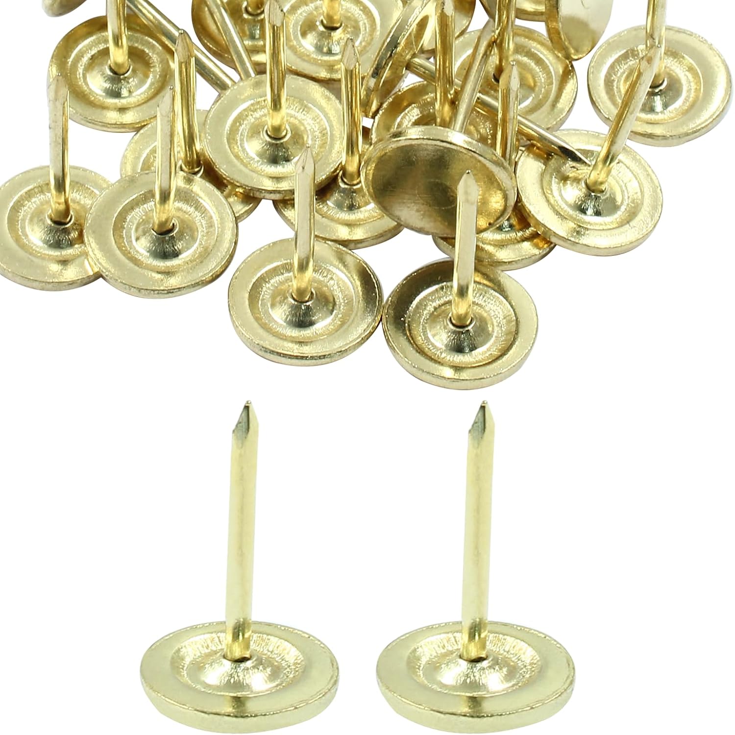 Amazon.com: Hitefu 100Pcs Flat Head Thumb Tacks, Upholstery Tack ...