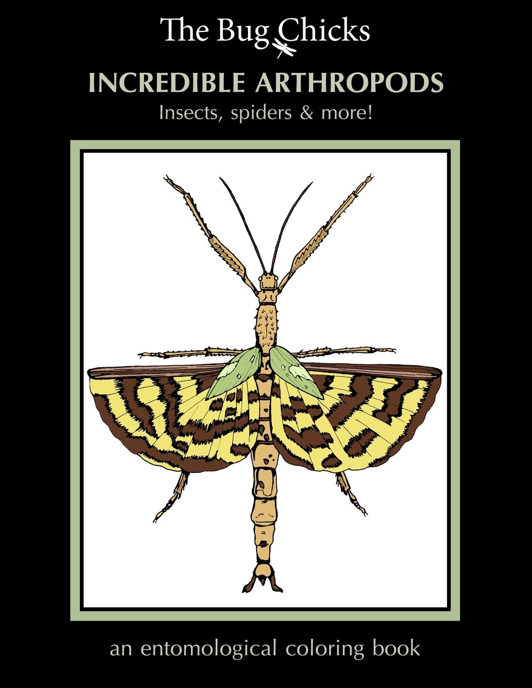 Incredible Arthropods: Insects, spiders & more!: Chicks, The Bug ...