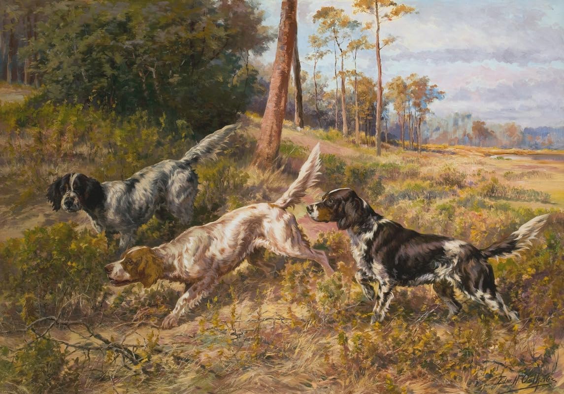 Amazon.com: English Setters in Field Poster Print by Edmund Henry ...