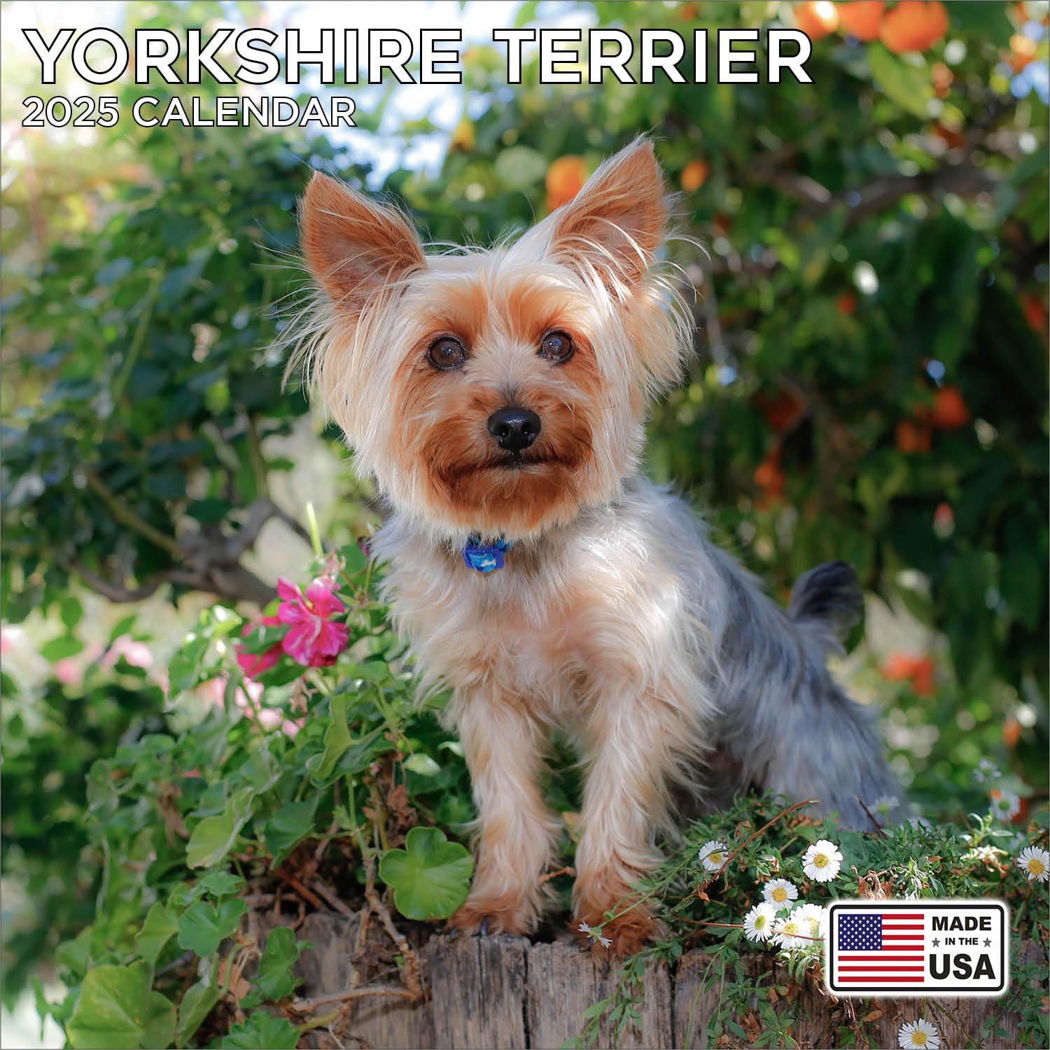 2025 Yorkshire Terrier Calendar - Dog Breed Wall Calendar - 12 x 24 ...