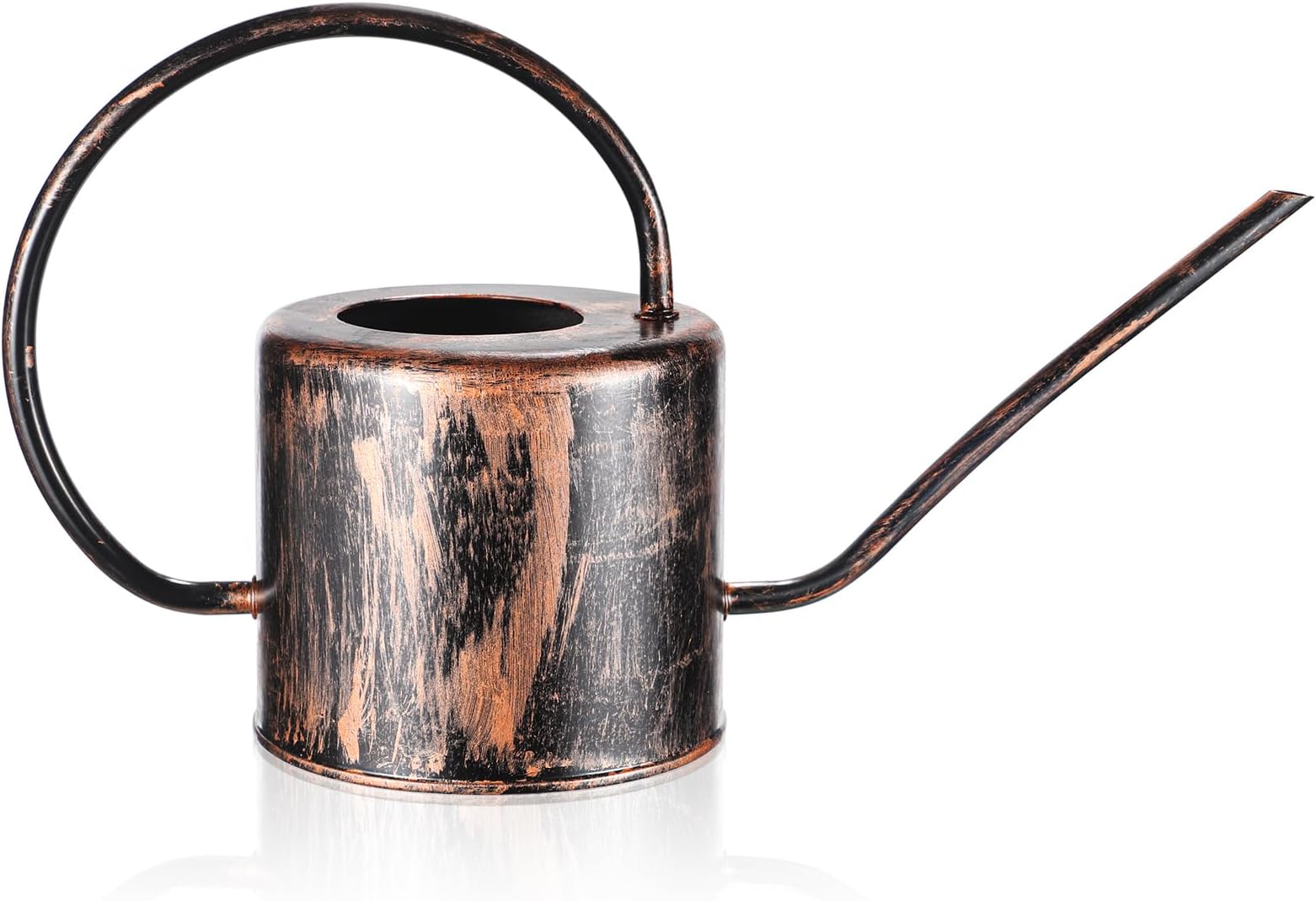 Amazon.com : YISSSN Tiny Watering Can for Small Indoor Houseplants ...