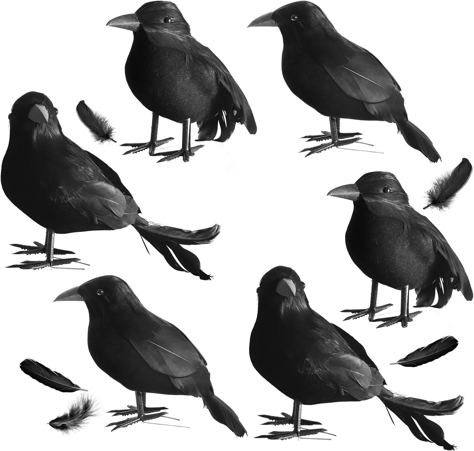 Amazon.com: Darnassus 3-Pack Halloween Black Feathered Crow Realistic ...