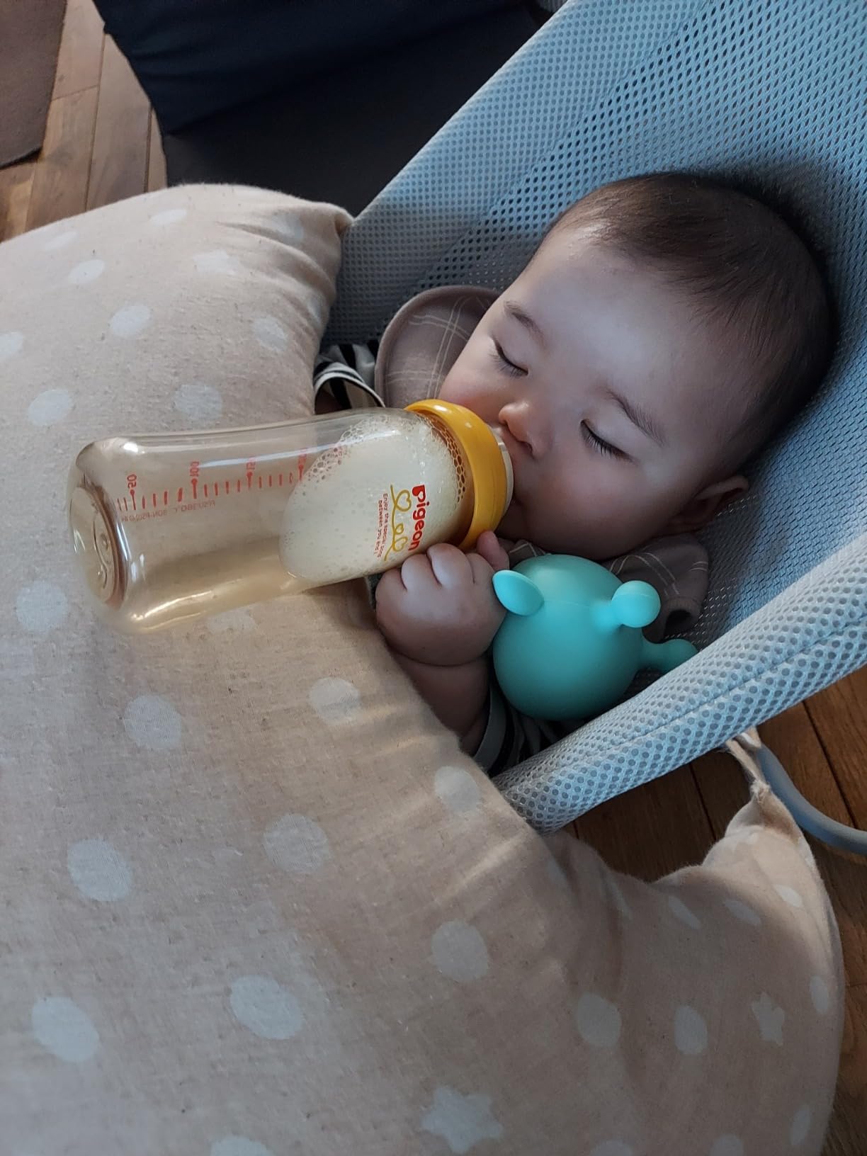 Amazon.co.jp: Richell Bouncing Seat N Light Gray Suitable for Ages: 1 ...