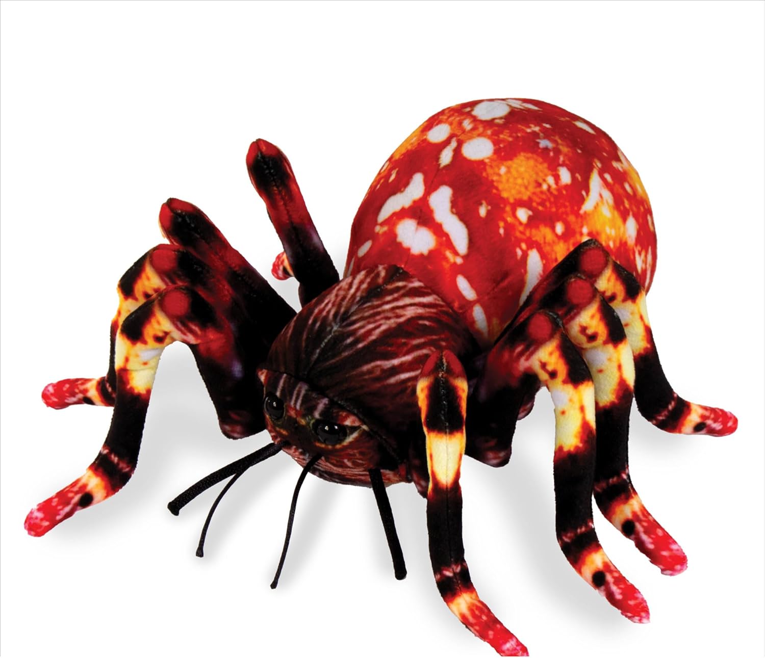 Amazon.com: Real Planet 8" Spider Stuffed Animal - Realistic Spider ...