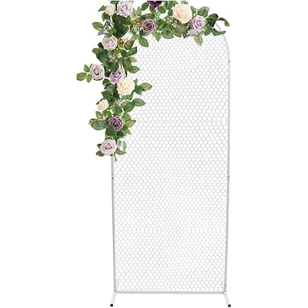 Amazon.com : Mesh Wall Stand Arch Backdrop Metal Arch with Grid ...