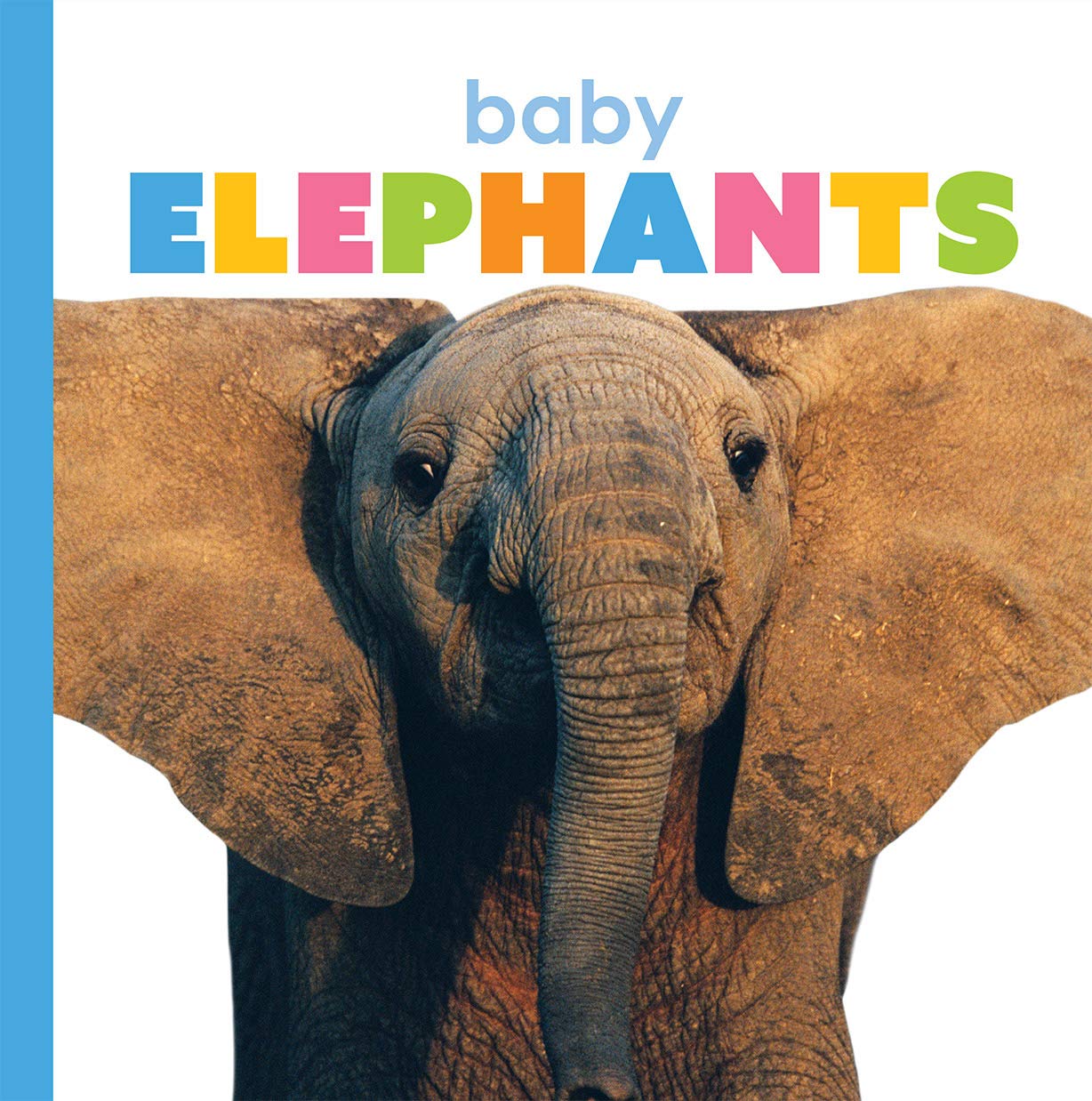 Baby Elephants (Starting Out): Riggs, Kate: 9781628326628: Amazon.com: Books