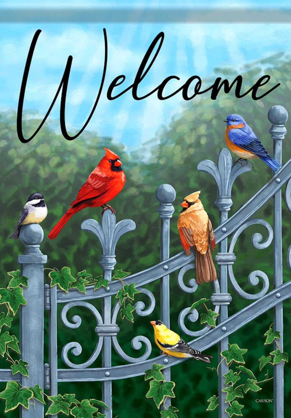 Amazon.com : Carson 18" 'Welcome' Ivy and Birds Garden Flag - Bird ...