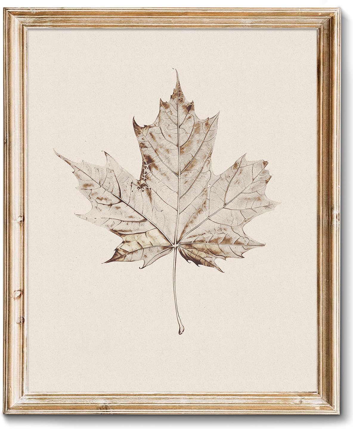 Amazon.com: RETRART Vintage Maple Leaf Wall Art, Antique Maple Leaf ...