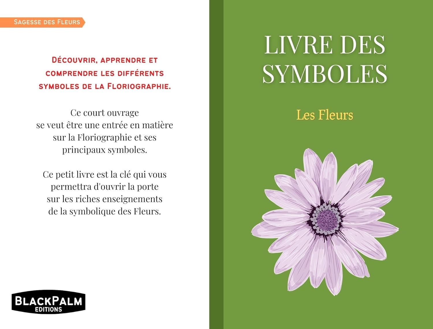 Amazon.com: Livre des Symboles : Les Fleurs: Petit livre des principaux ...