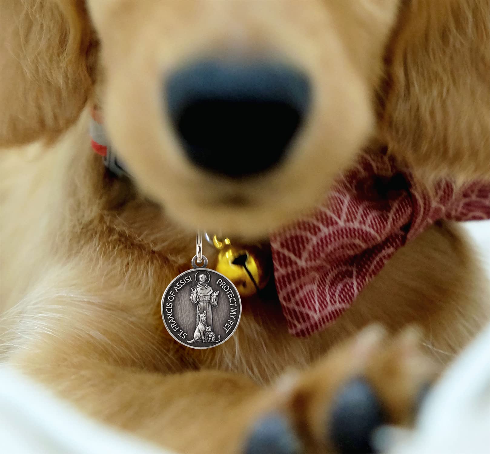 Snapklik.com : St Francis Medal For Pets - St Francis Tag For Dogs And Cats